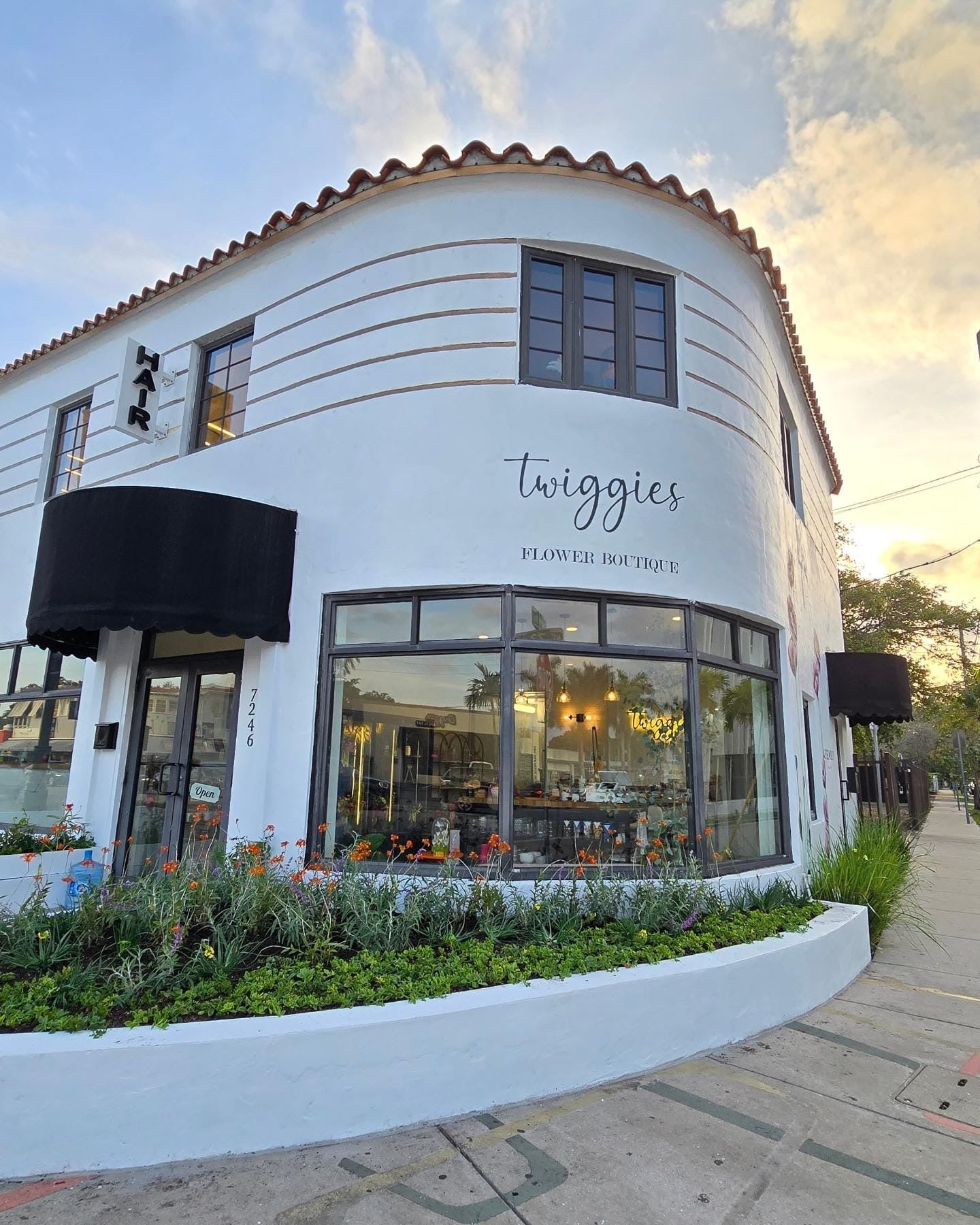 About – Twiggies